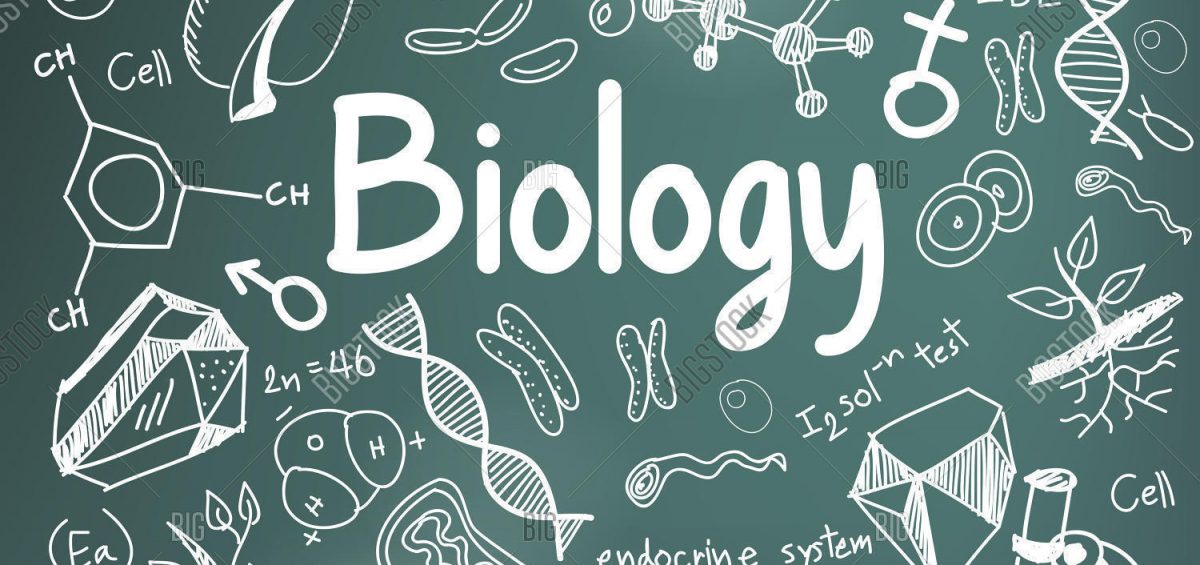 Biologija - županijsko natjecanje - Gimnazija i strukovna škola Jurja ...